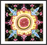 Full-Color Chinese Kazak Designs CD-ROM and Book