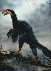 Dinosaur CD-ROM and Book